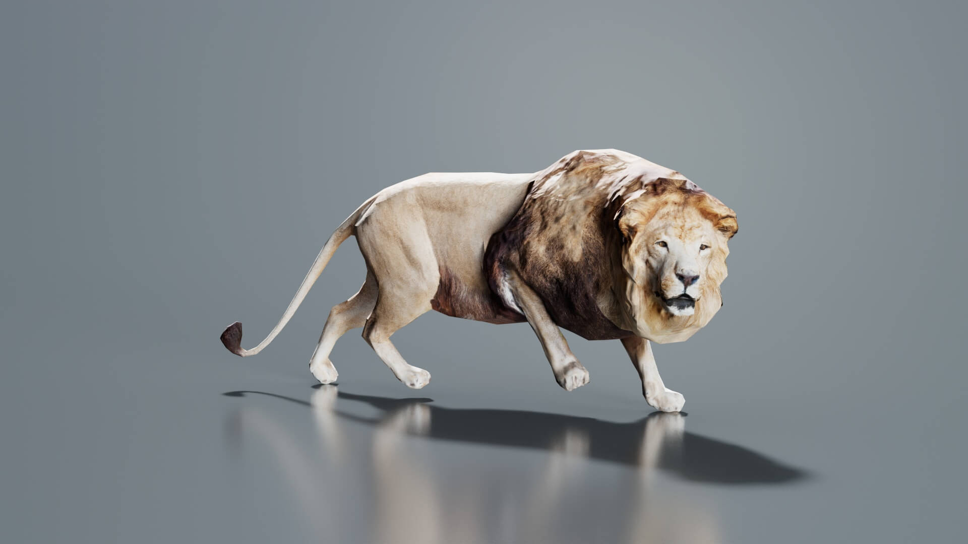 Large Male Lion - 3D Model by Polygonal Miniatures