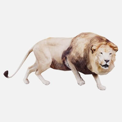 Walking With Beasts Cave Lion