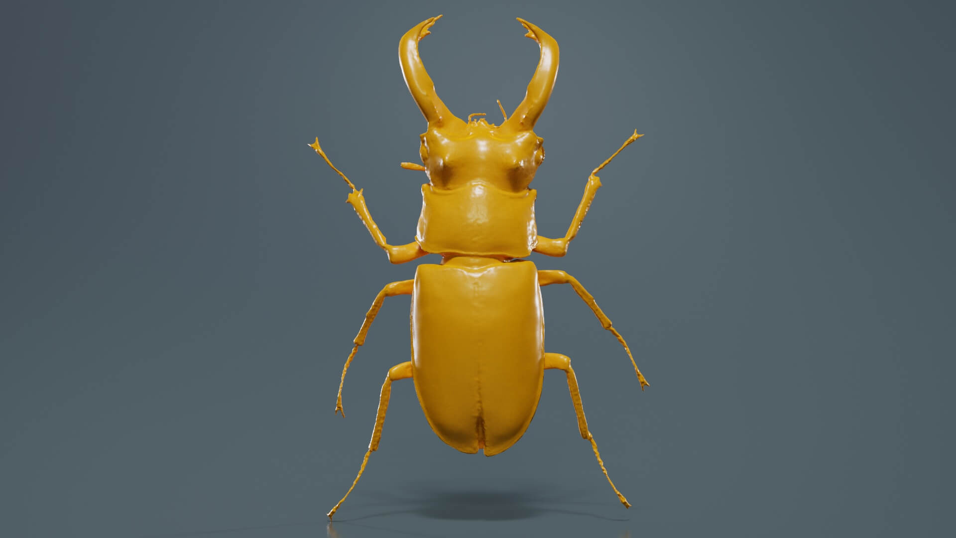 Lucanus Cervus Stag Beetle - 3D Model by Polygonal Miniatures
