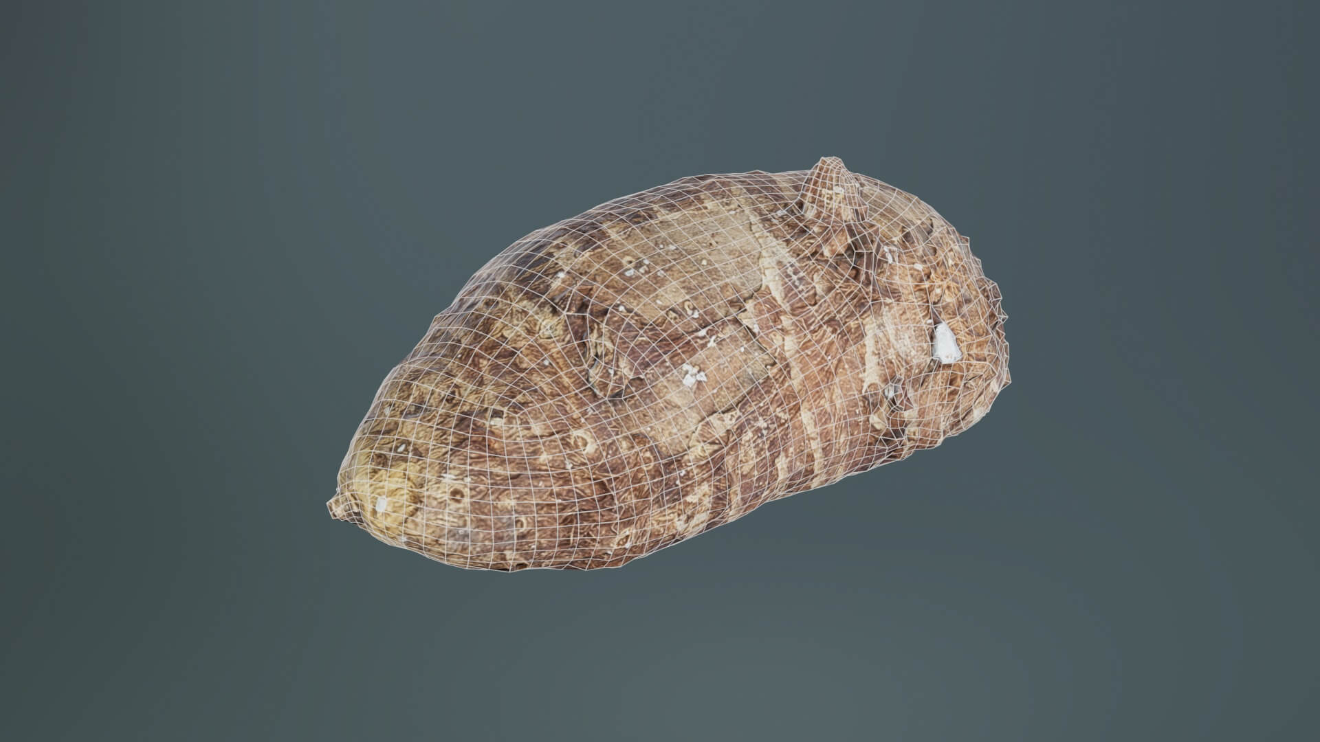 Manioc 2 - 3D Model by Polygonal Miniatures