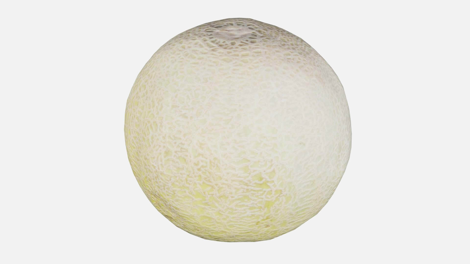 Melon - 3D Model by Polygonal Miniatures