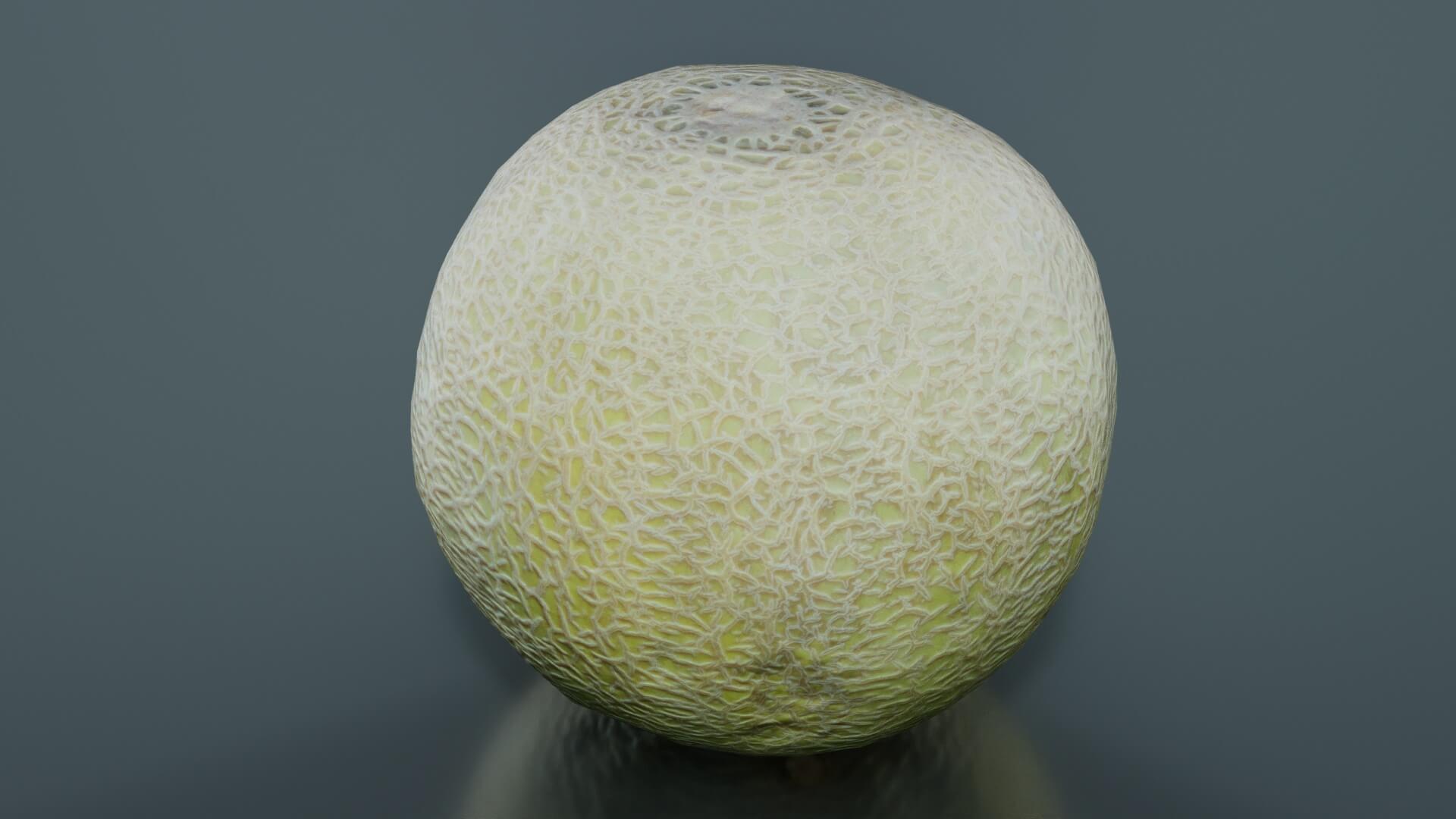 Melon - 3D Model by Polygonal Miniatures
