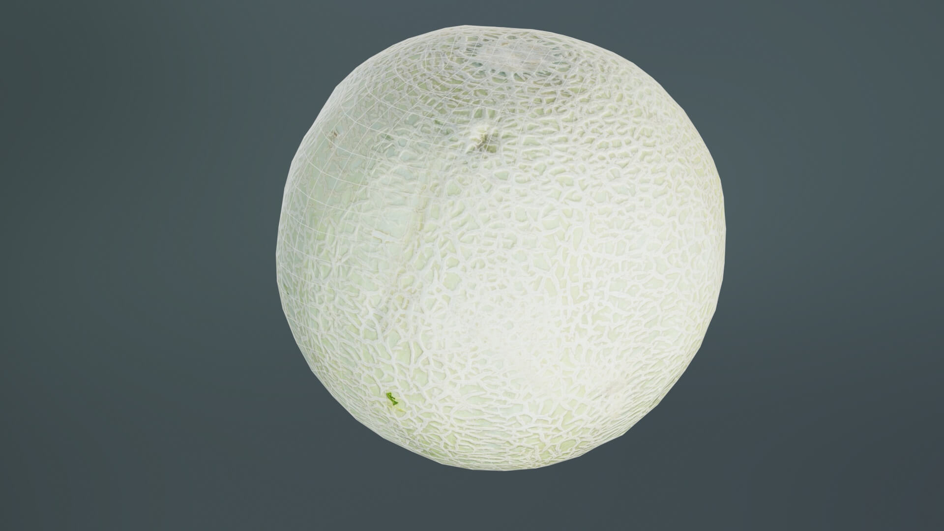 Melon - 3D Model by Polygonal Miniatures