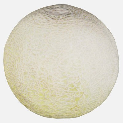 Melon - 3D Model by Polygonal Miniatures