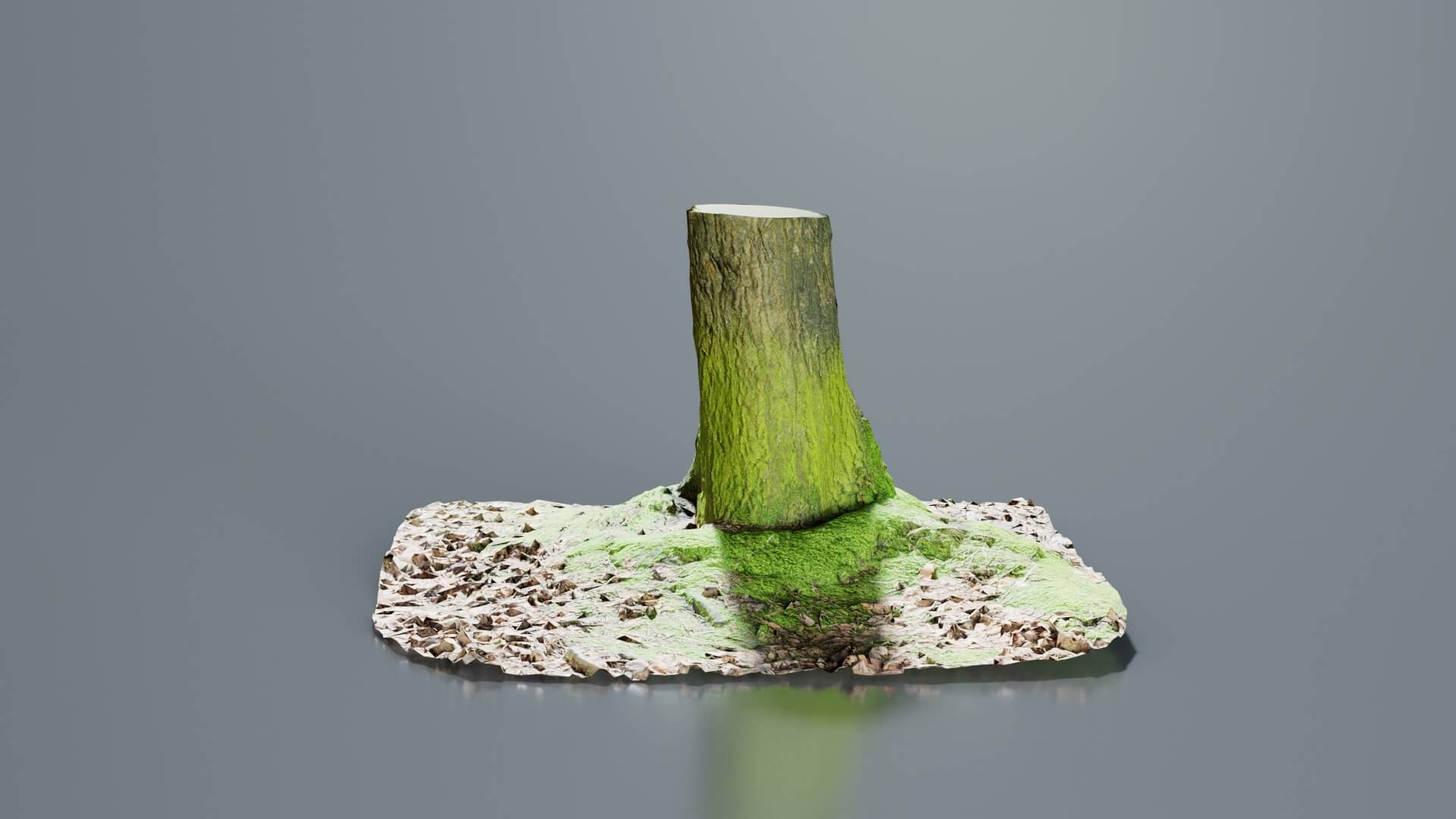 Moss Bark Tree Stump - 3D Model by Polygonal Miniatures