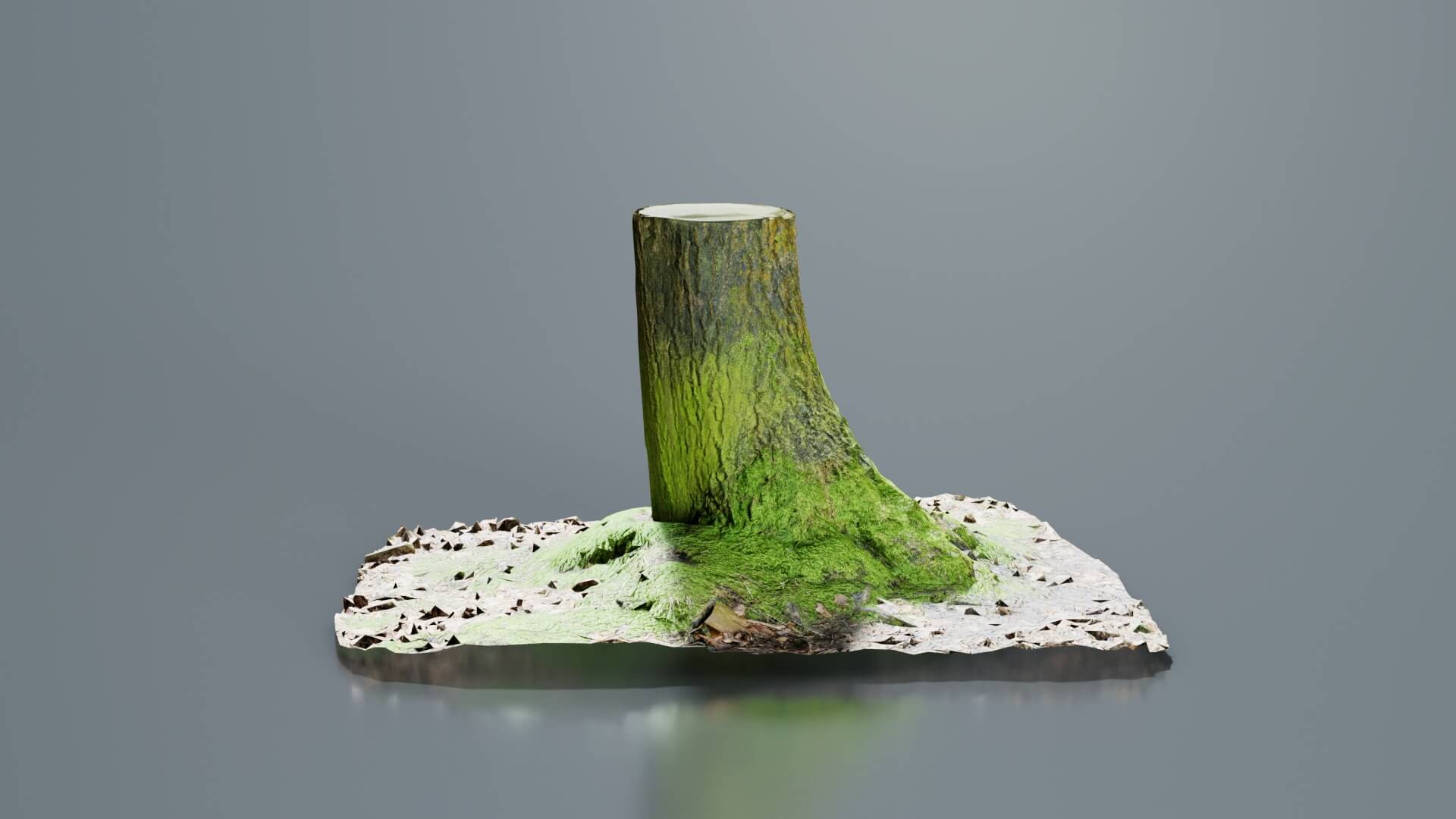Moss Bark Tree Stump - 3D Model by Polygonal Miniatures