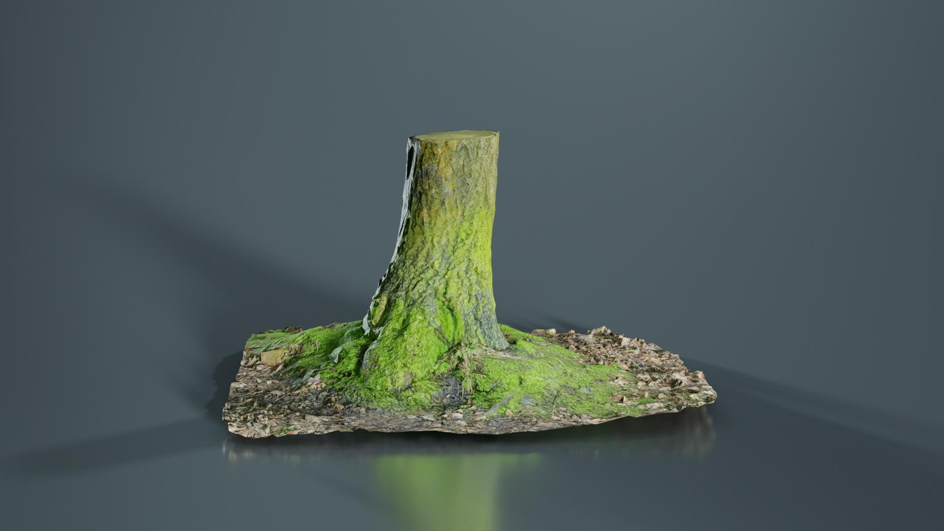Moss Bark Tree Stump - 3D Model by Polygonal Miniatures