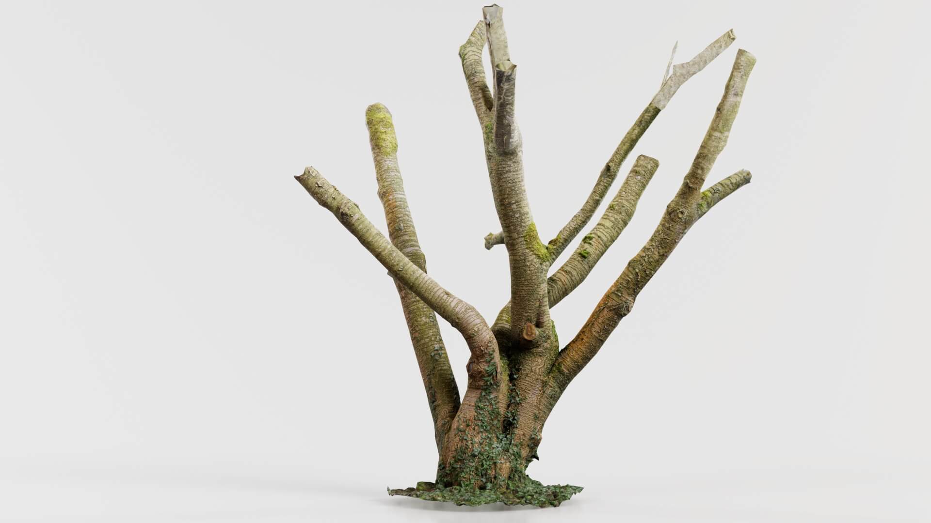 Moss Covered Tree Trunk - 3D Model by Polygonal Miniatures