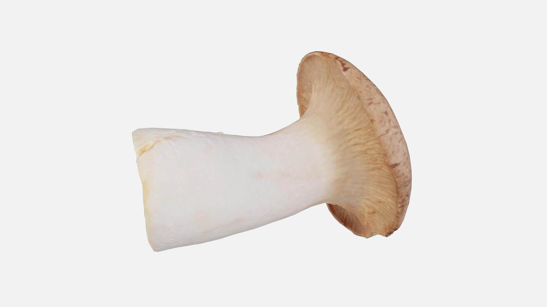 Mushroom Tall 2 - 3D Model by Polygonal Miniatures