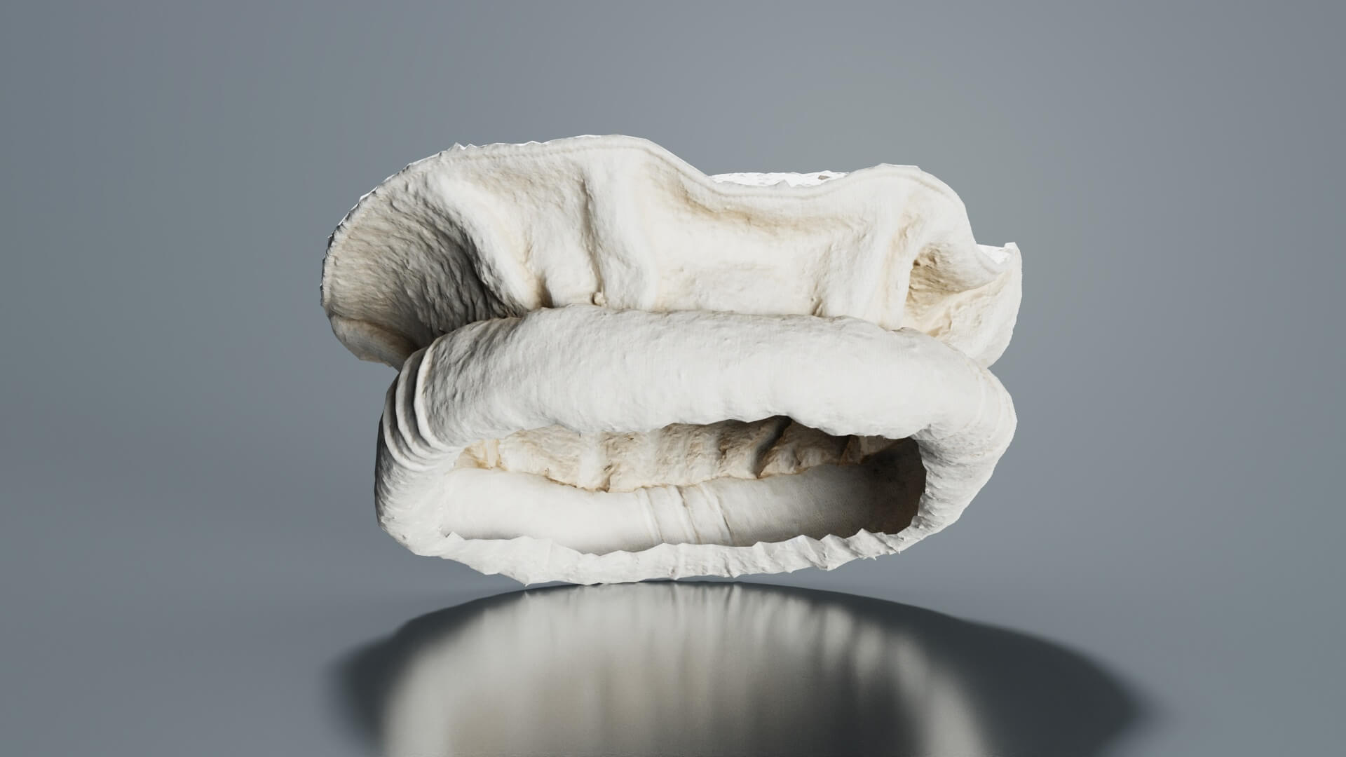 Oister Hat - 3D Model by Polygonal Miniatures