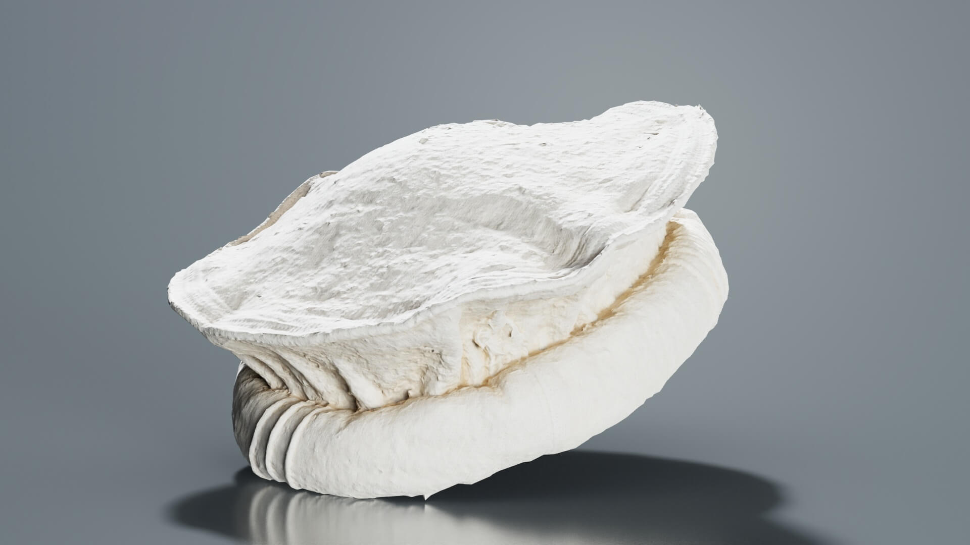 Oister Hat - 3D Model by Polygonal Miniatures