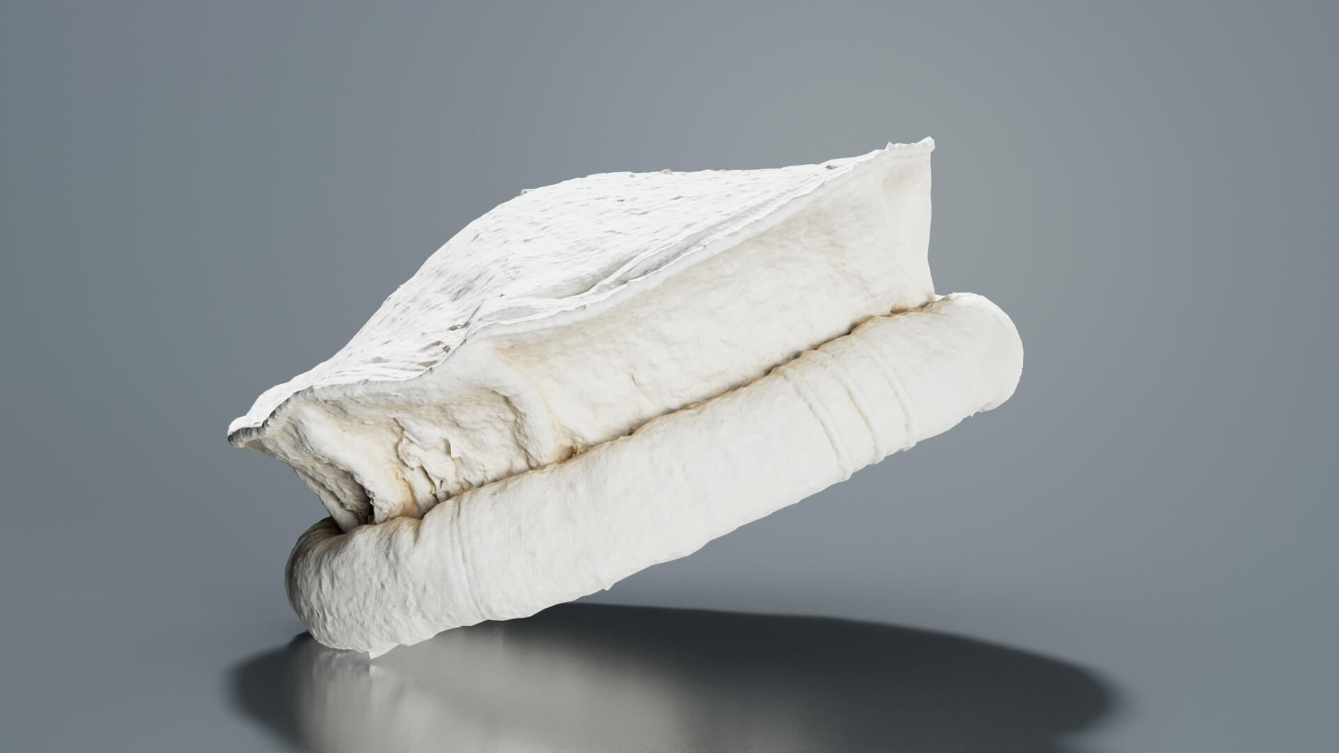 Oister Hat - 3D Model by Polygonal Miniatures