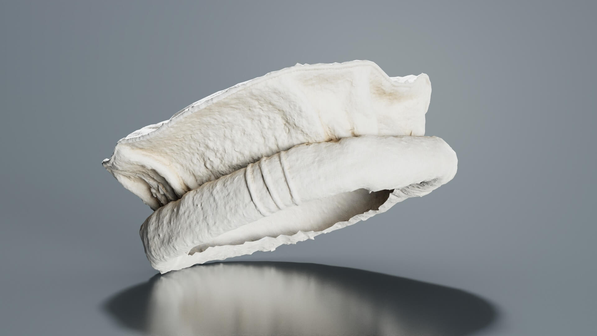 Oister Hat - 3D Model by Polygonal Miniatures