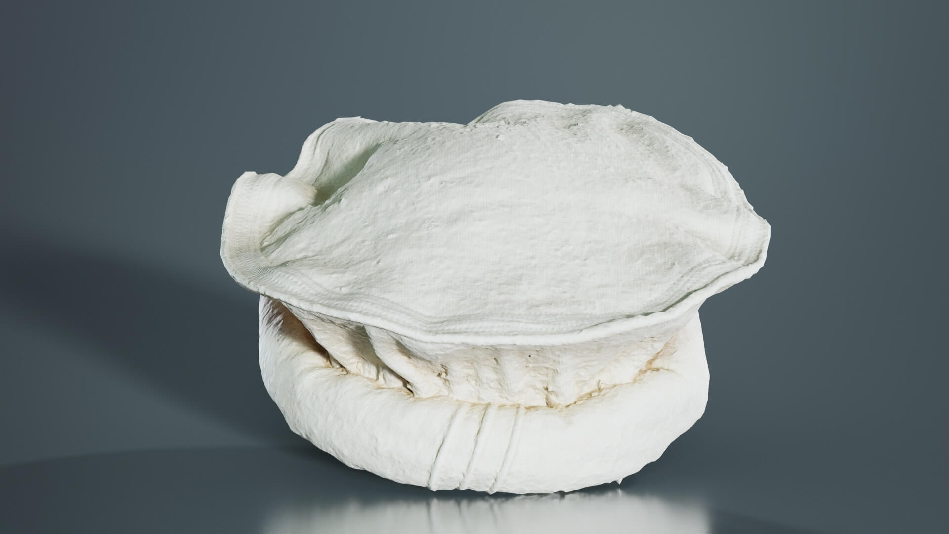 Oister Hat - 3D Model by Polygonal Miniatures