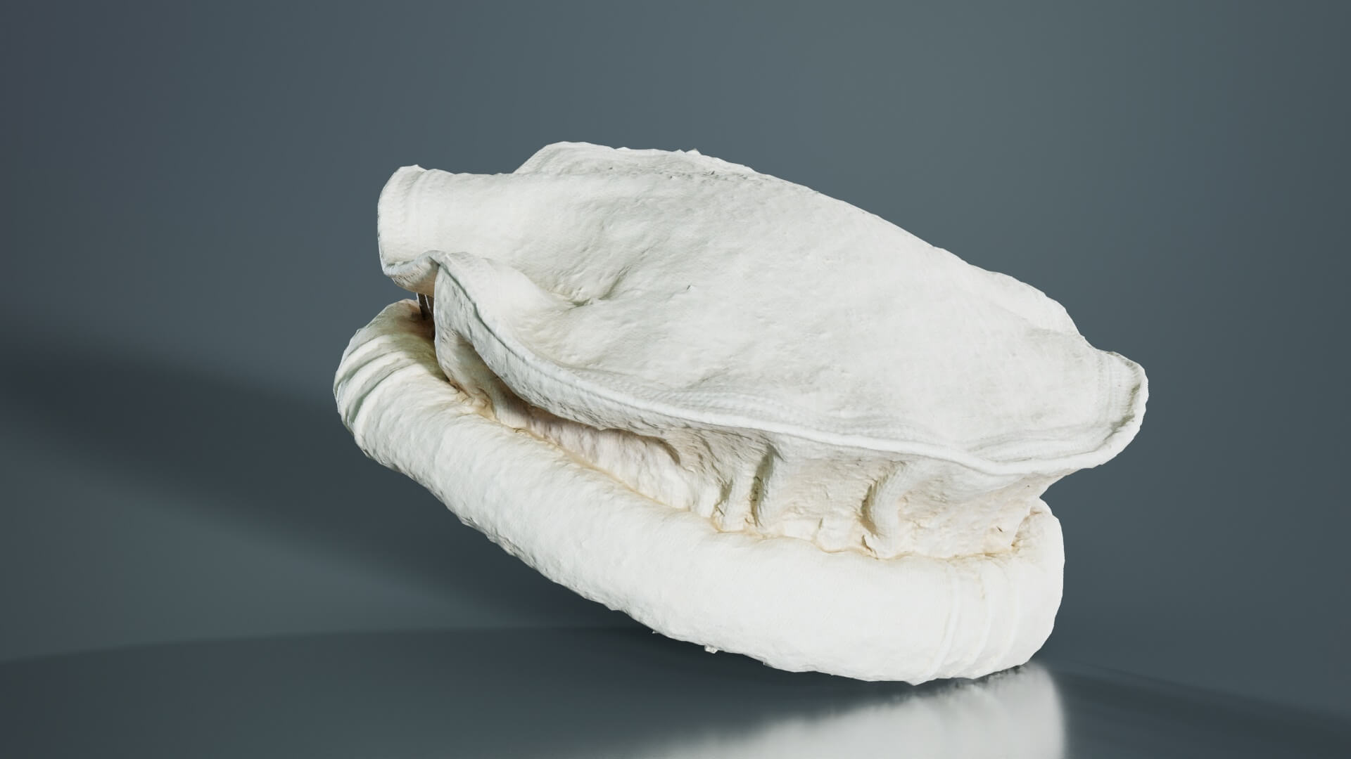 Oister Hat - 3D Model by Polygonal Miniatures