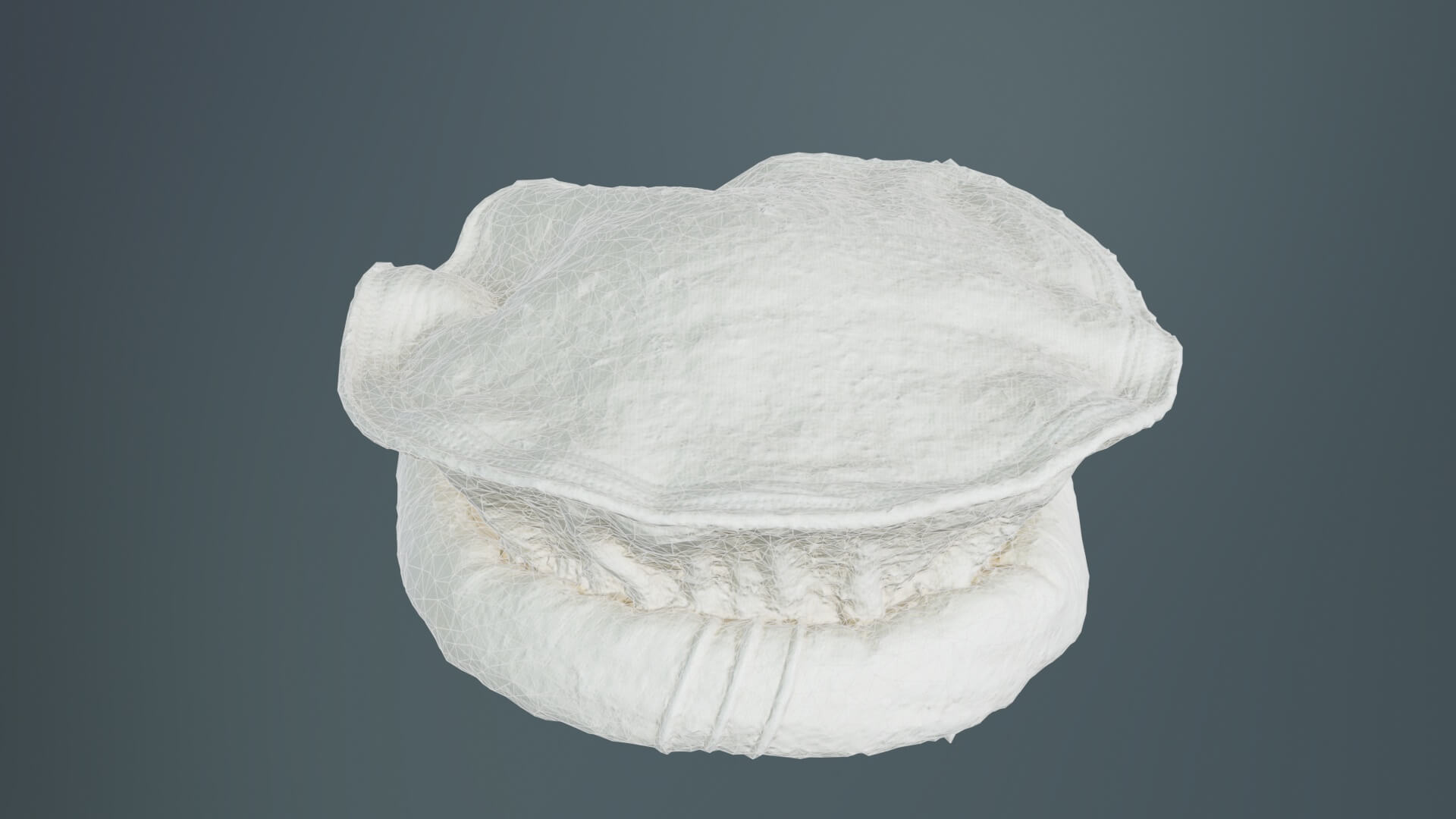 Oister Hat - 3D Model by Polygonal Miniatures