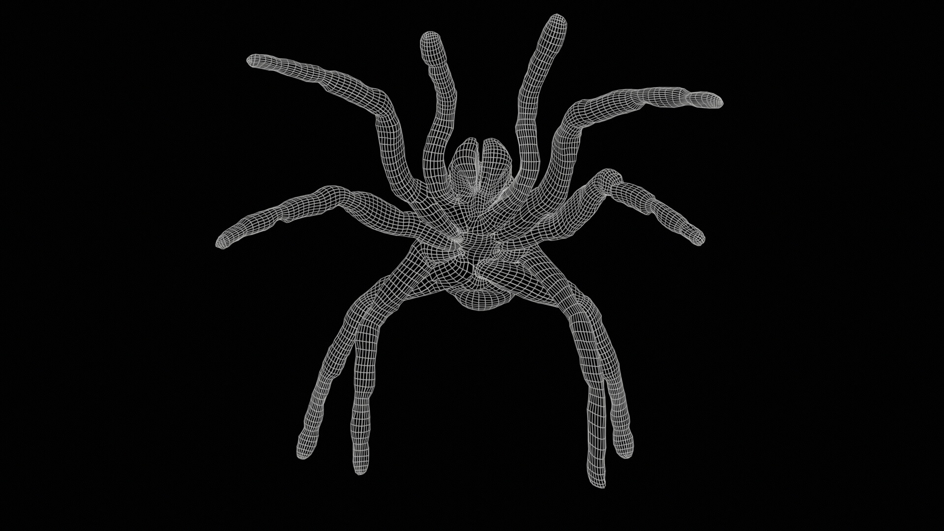 Opelma Minax Spider Tarantula - 3D Model by Polygonal Miniatures