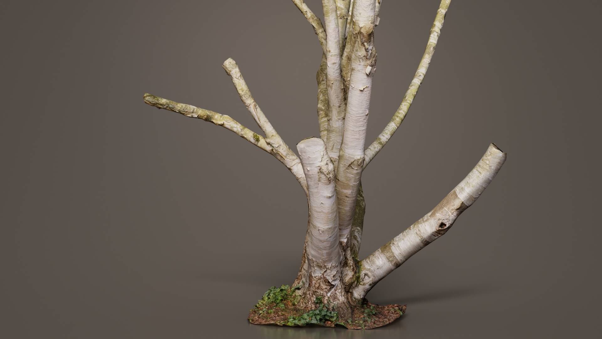 Paper Bark Tree Trunk - 3D Model by Polygonal Miniatures