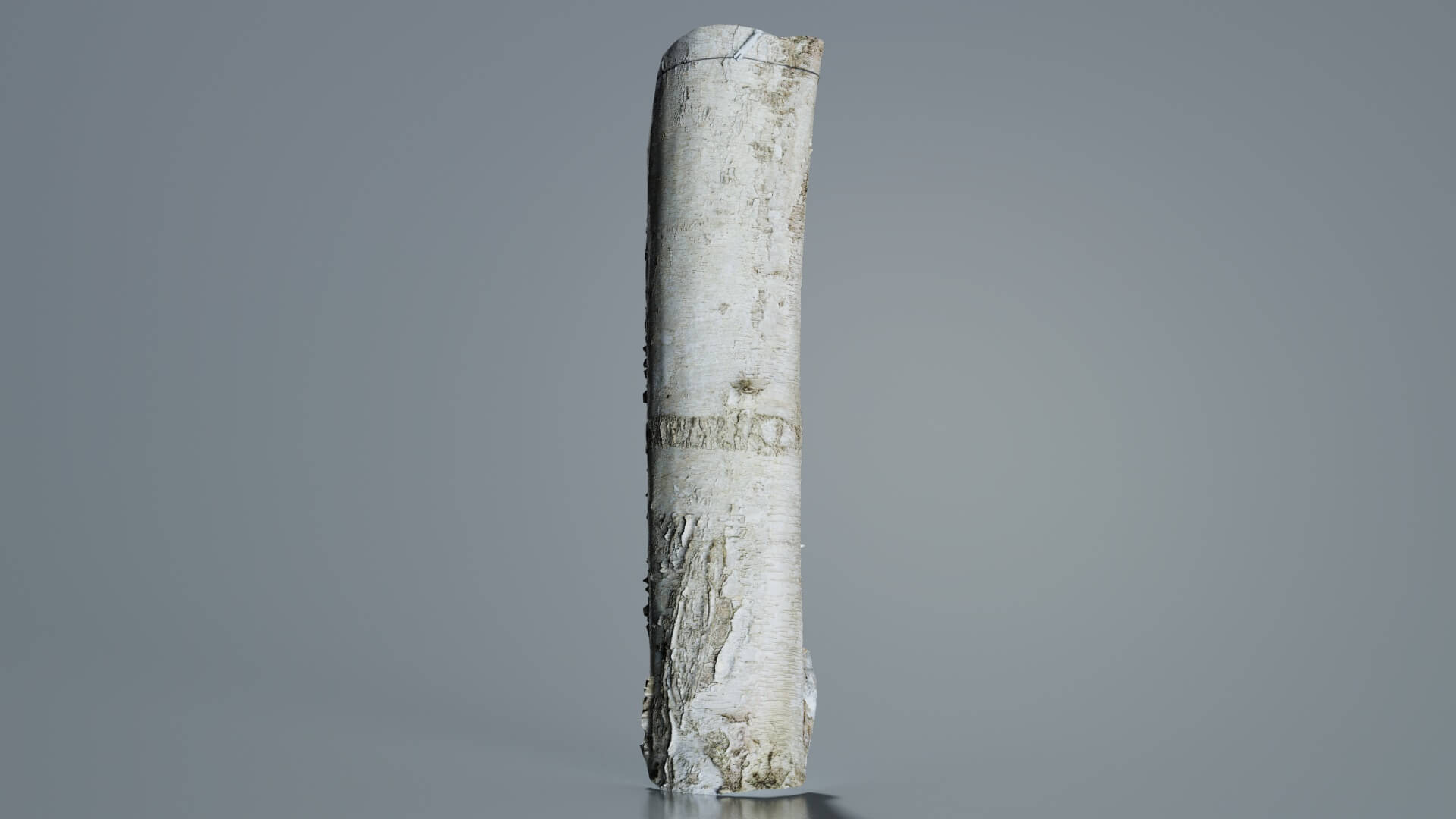 Paper Skin Bark - 3D Model by Polygonal Miniatures