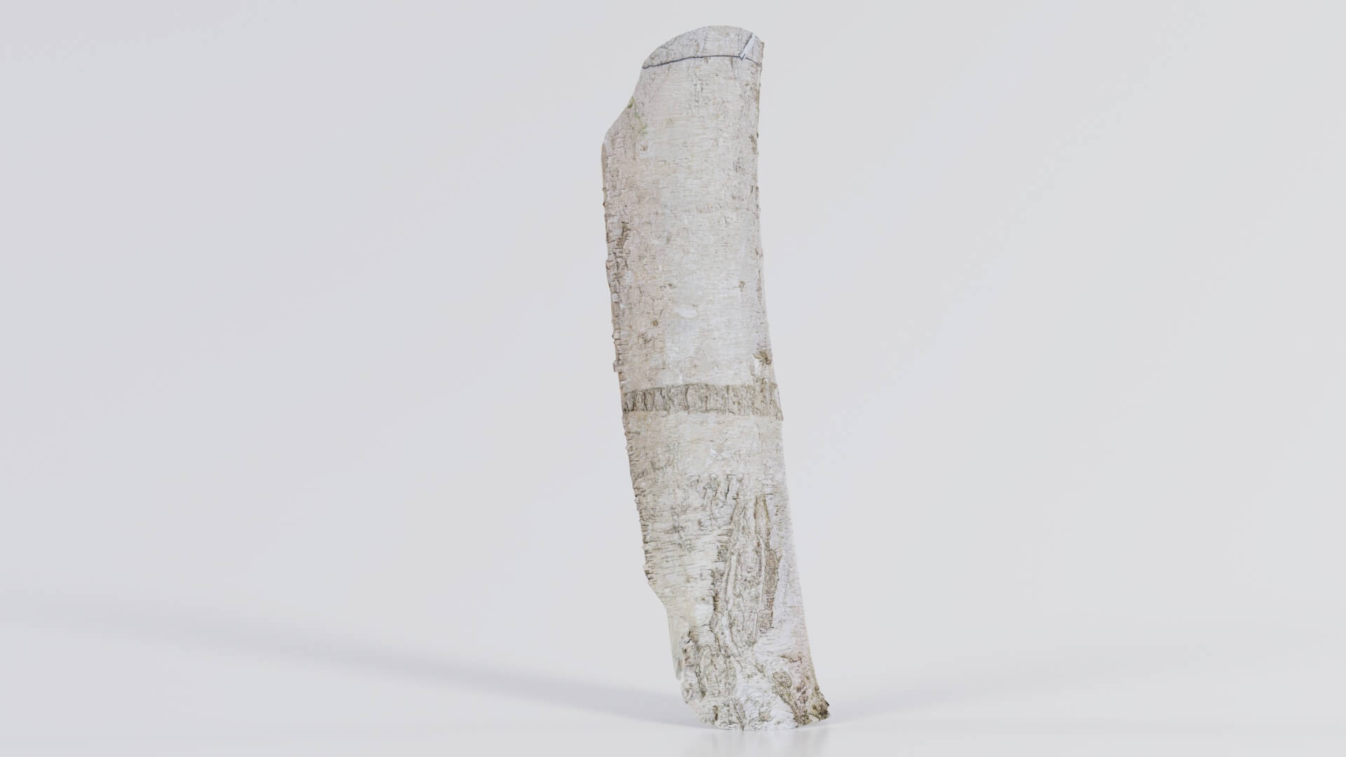 Paper Skin Bark - 3D Model by Polygonal Miniatures