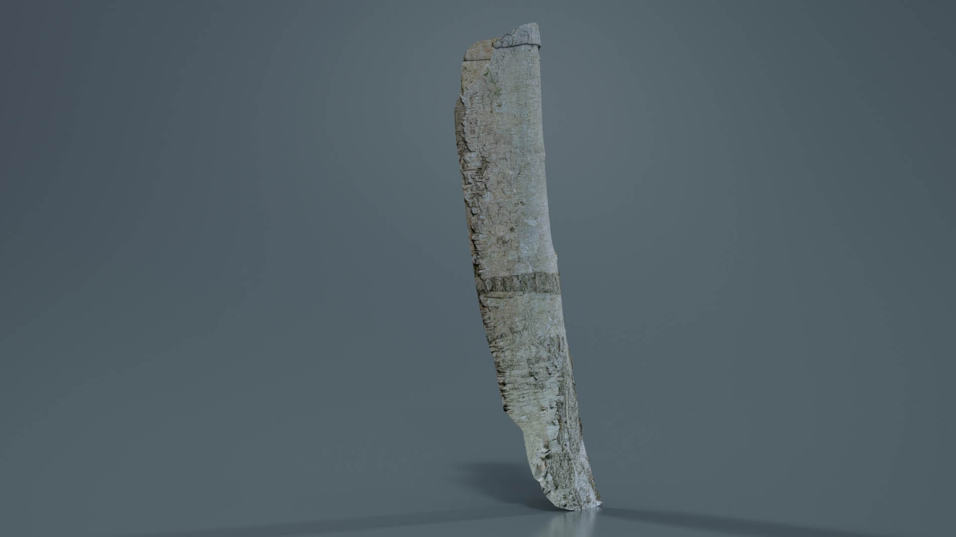 Paper Skin Bark - 3D Model by Polygonal Miniatures