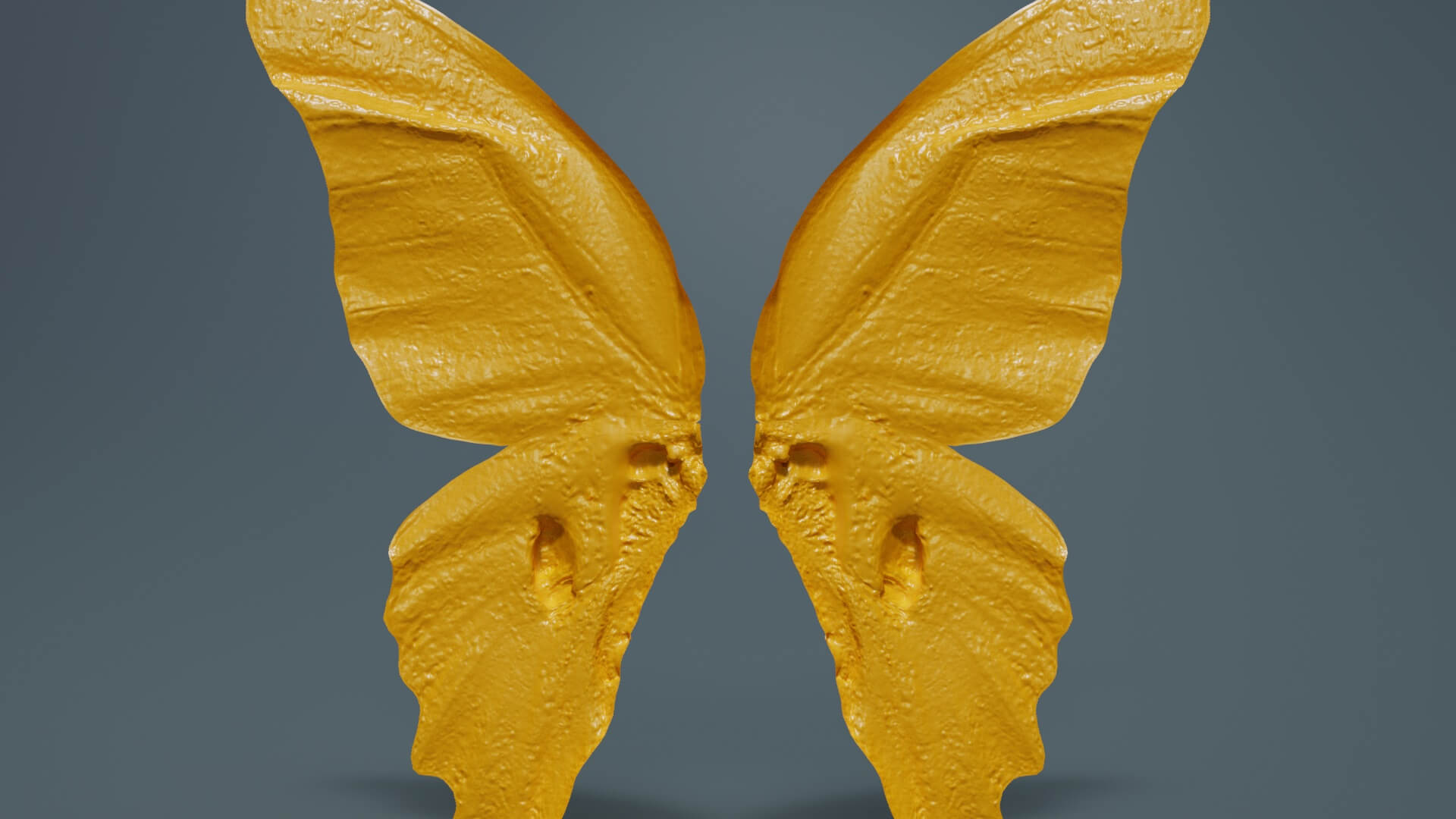 Papilio Nireus African Blue Swallowtail - 3D Model by Polygonal Miniatures