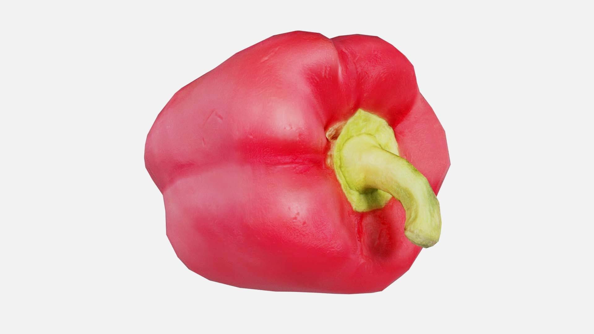 Paprika - 3D Model by Polygonal Miniatures