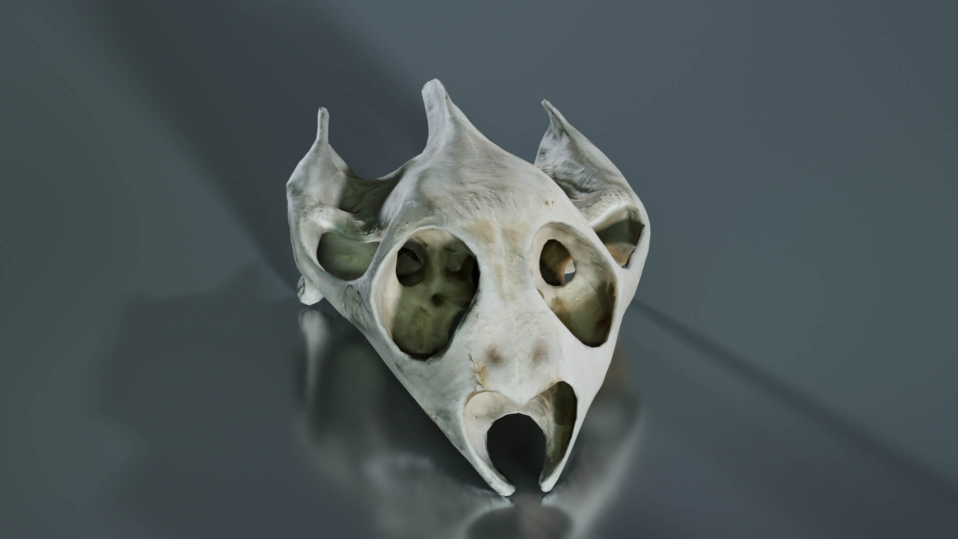 Parrot Head Skull - 3D Model by Polygonal Miniatures