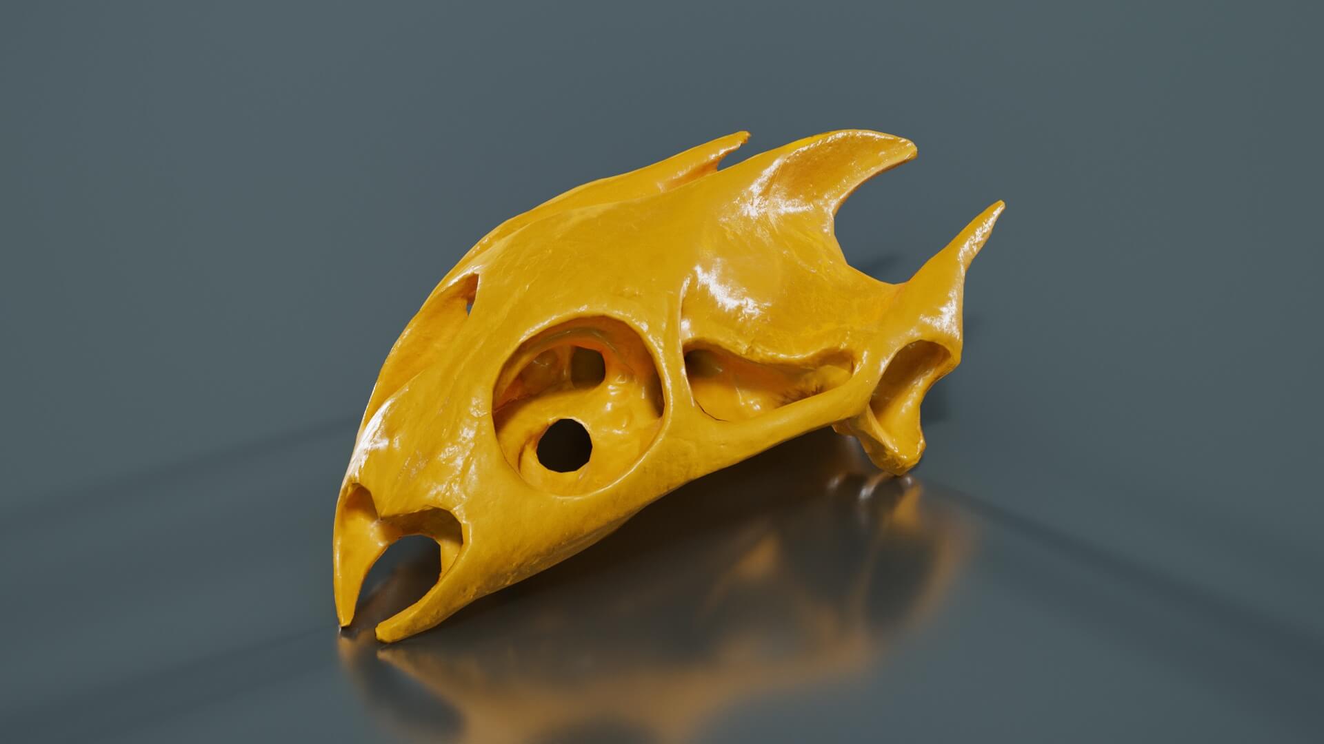 Parrot Head Skull - 3D Model by Polygonal Miniatures