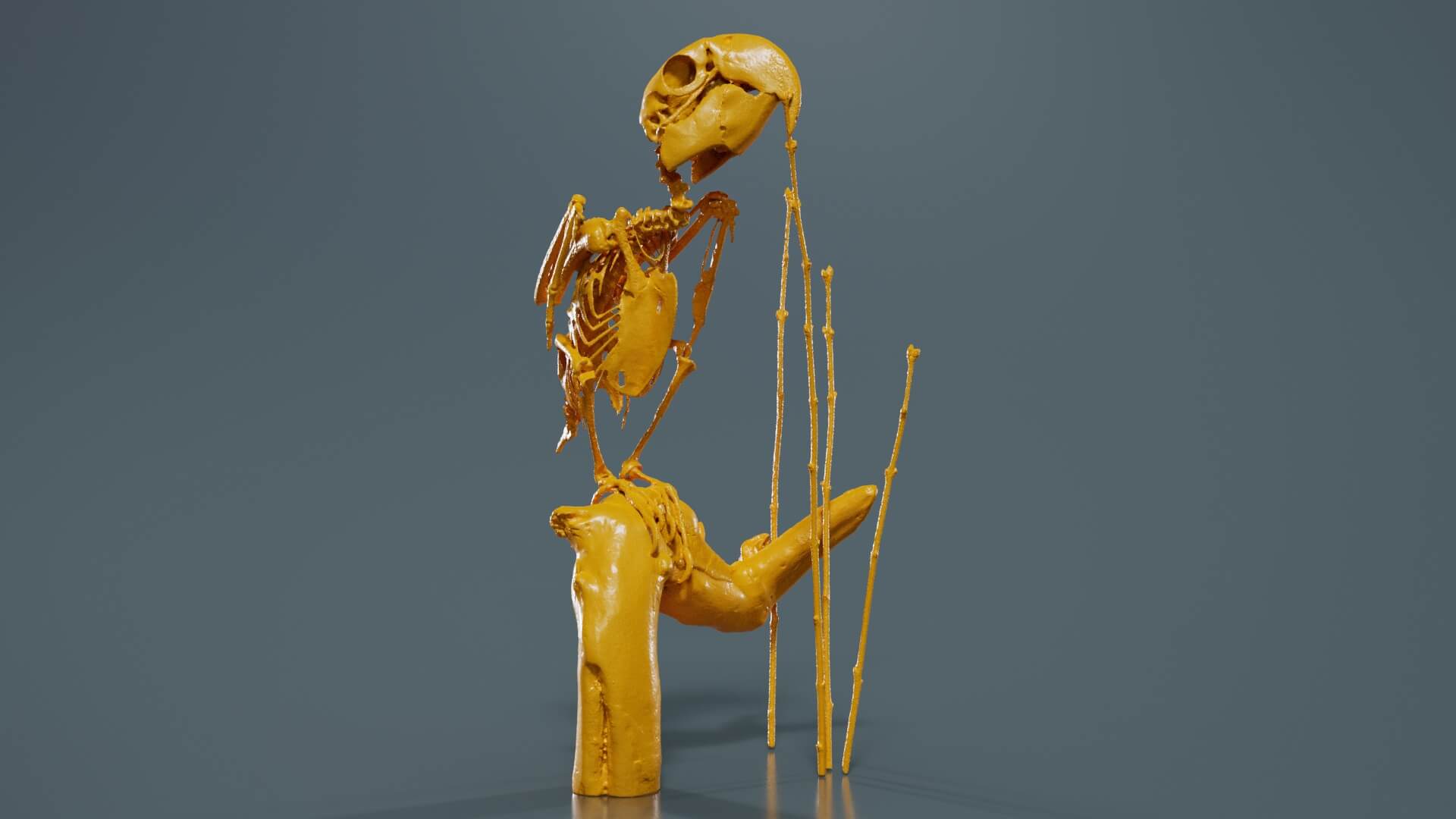 Parrot Skeleton Psittacines - 3D Model by Polygonal Miniatures