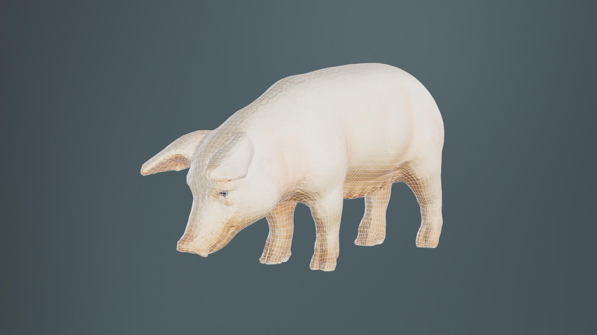 Pig - 3D Model by Polygonal Miniatures