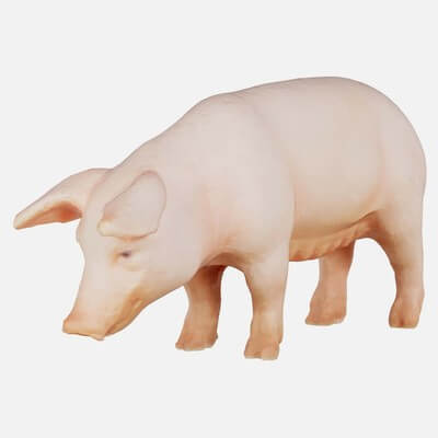 Pig - 3D Model by Polygonal Miniatures