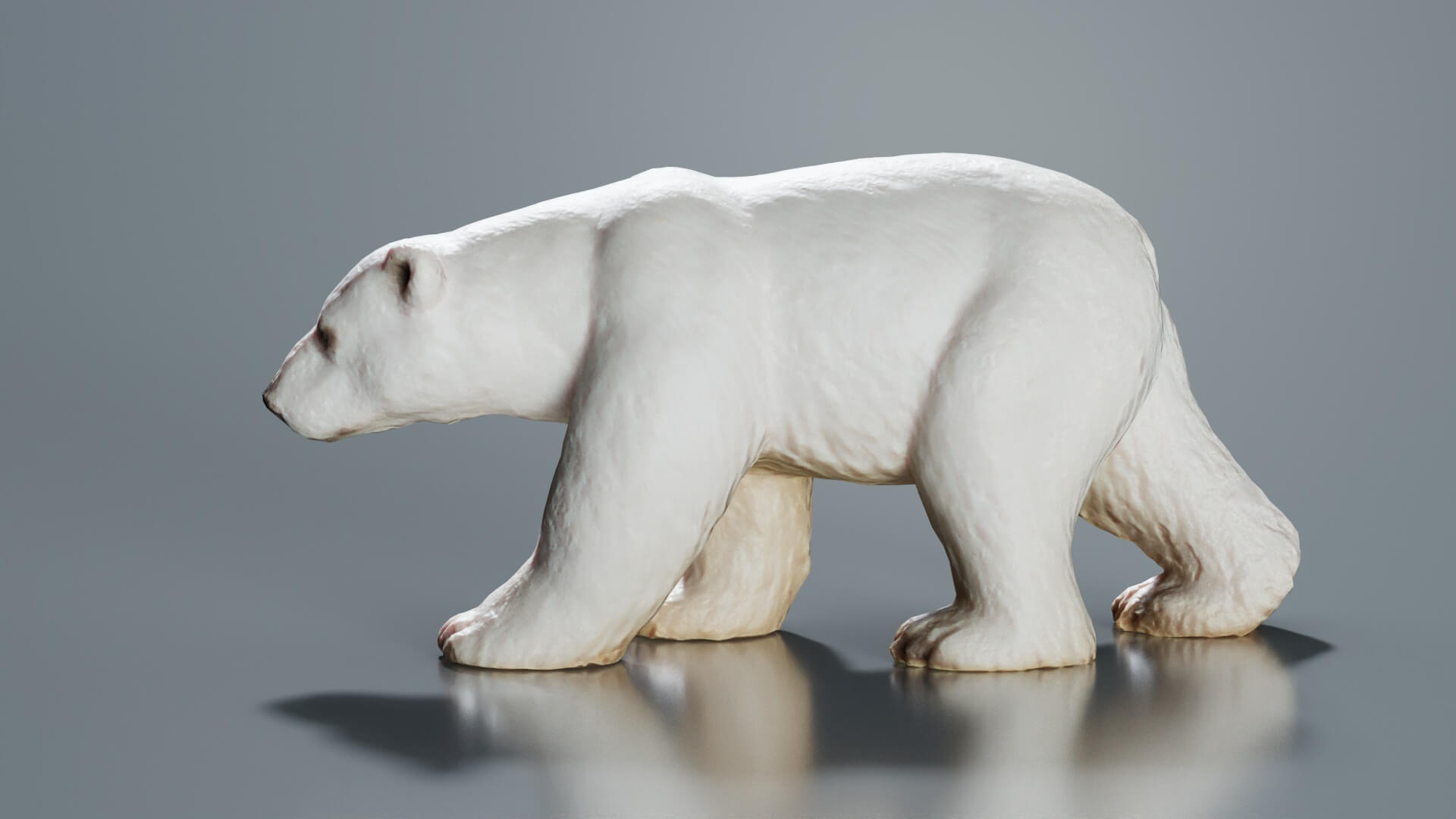 Polar Bear - 3D Model by Polygonal Miniatures