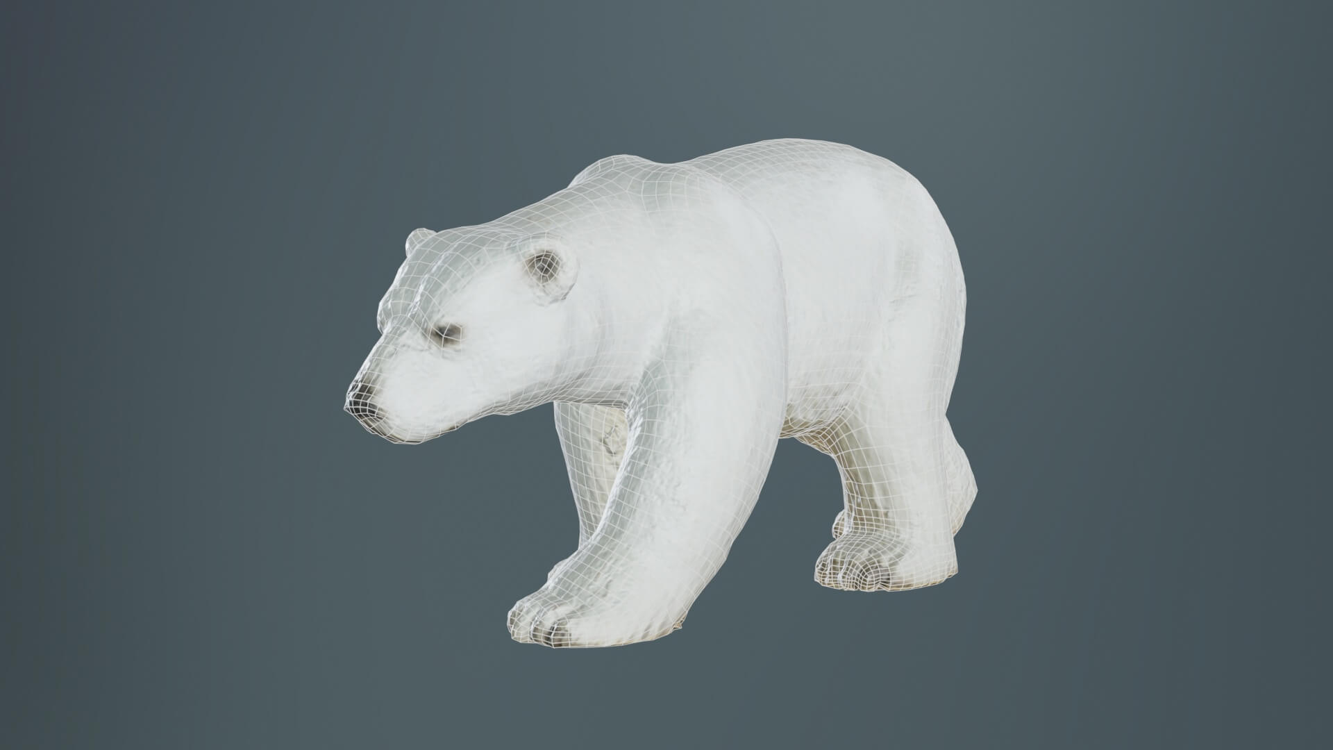 Polar Bear - 3D Model by Polygonal Miniatures