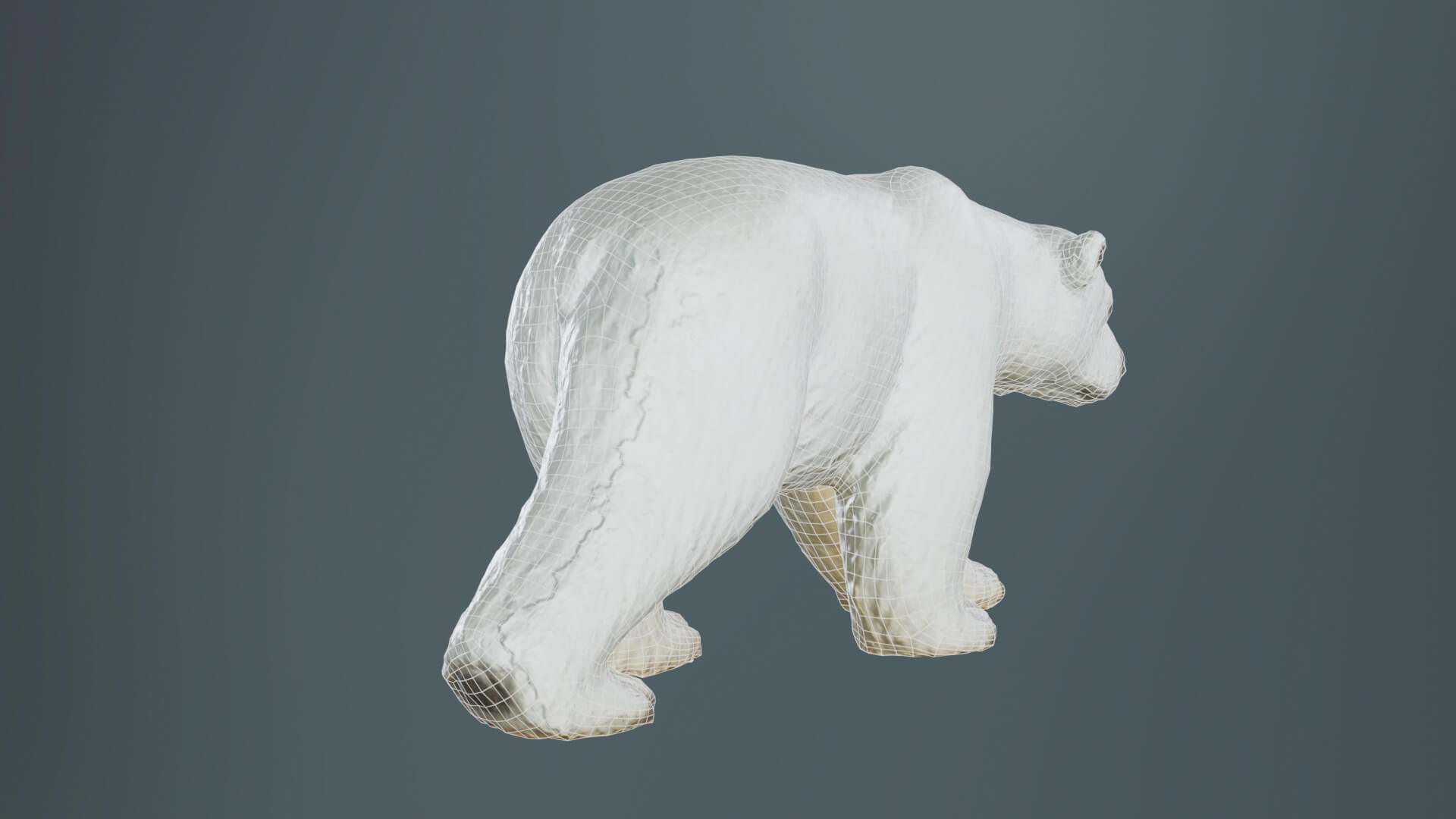 Polar Bear - 3D Model by Polygonal Miniatures