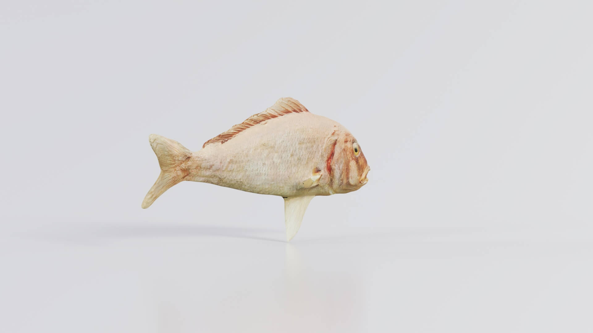 Prehistoric Fish - 3D Model by Polygonal Miniatures