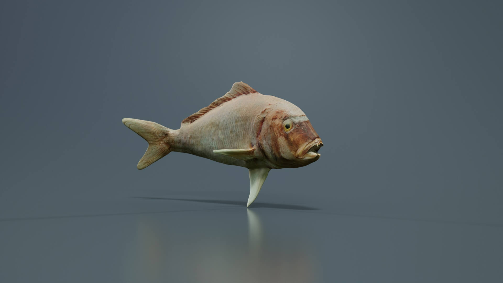 Prehistoric Fish - 3D Model by Polygonal Miniatures
