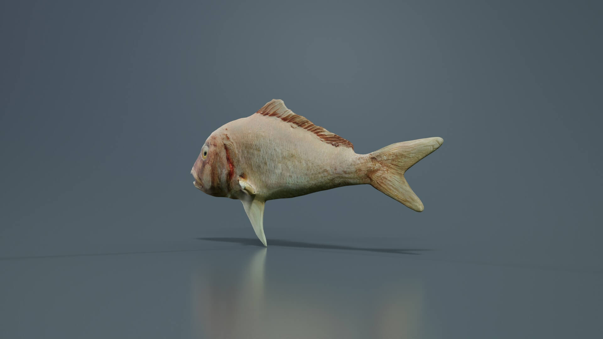 Prehistoric Fish - 3D Model by Polygonal Miniatures