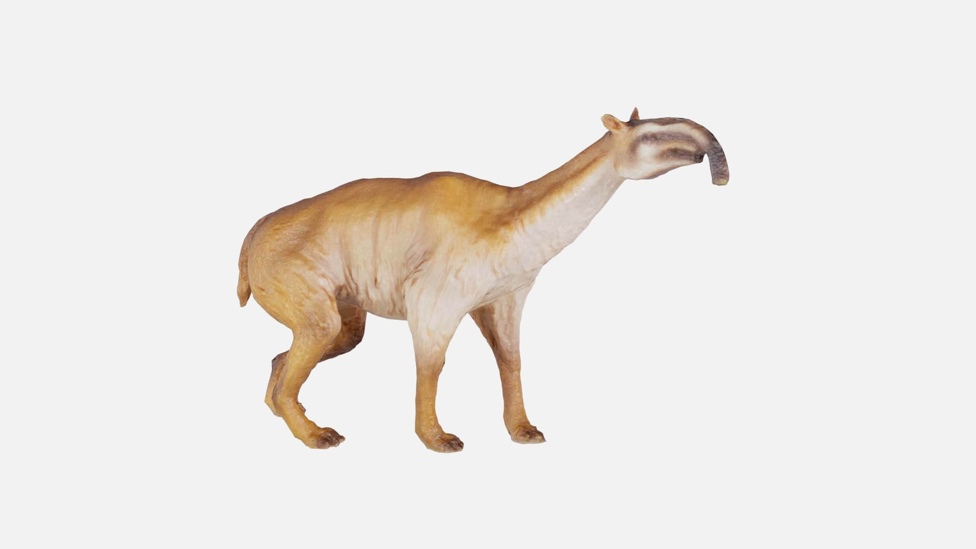 Prehistoric - 3D Model by Polygonal Miniatures