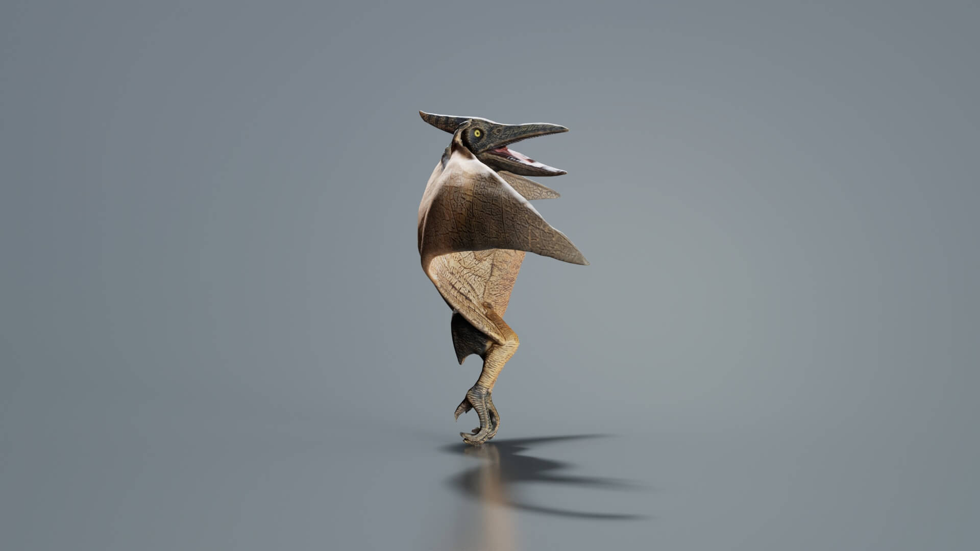 Pterodactylus - 3D Model by Polygonal Miniatures