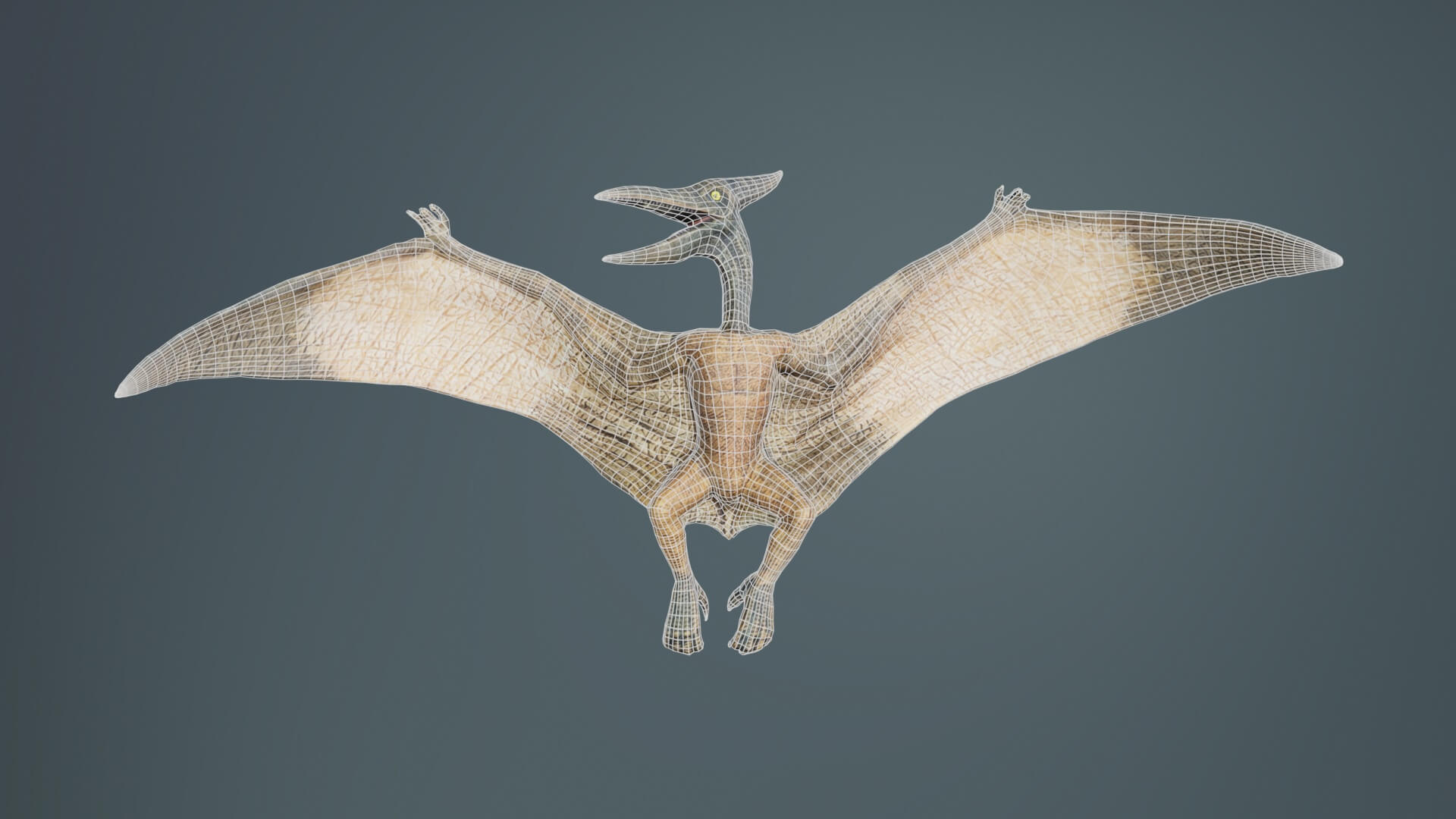 Pterodactylus - 3D Model by Polygonal Miniatures