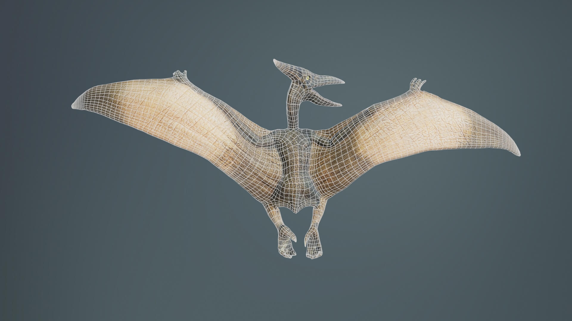 Pterodactylus - 3D Model by Polygonal Miniatures