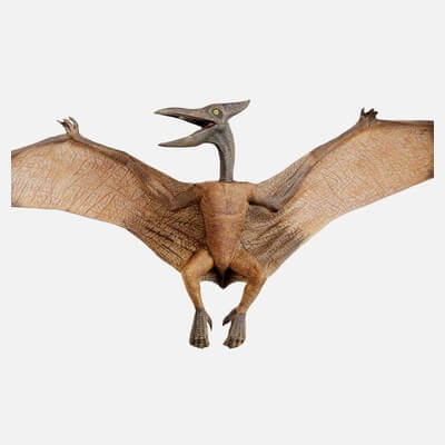 Pterodactylus - 3D Model by Polygonal Miniatures