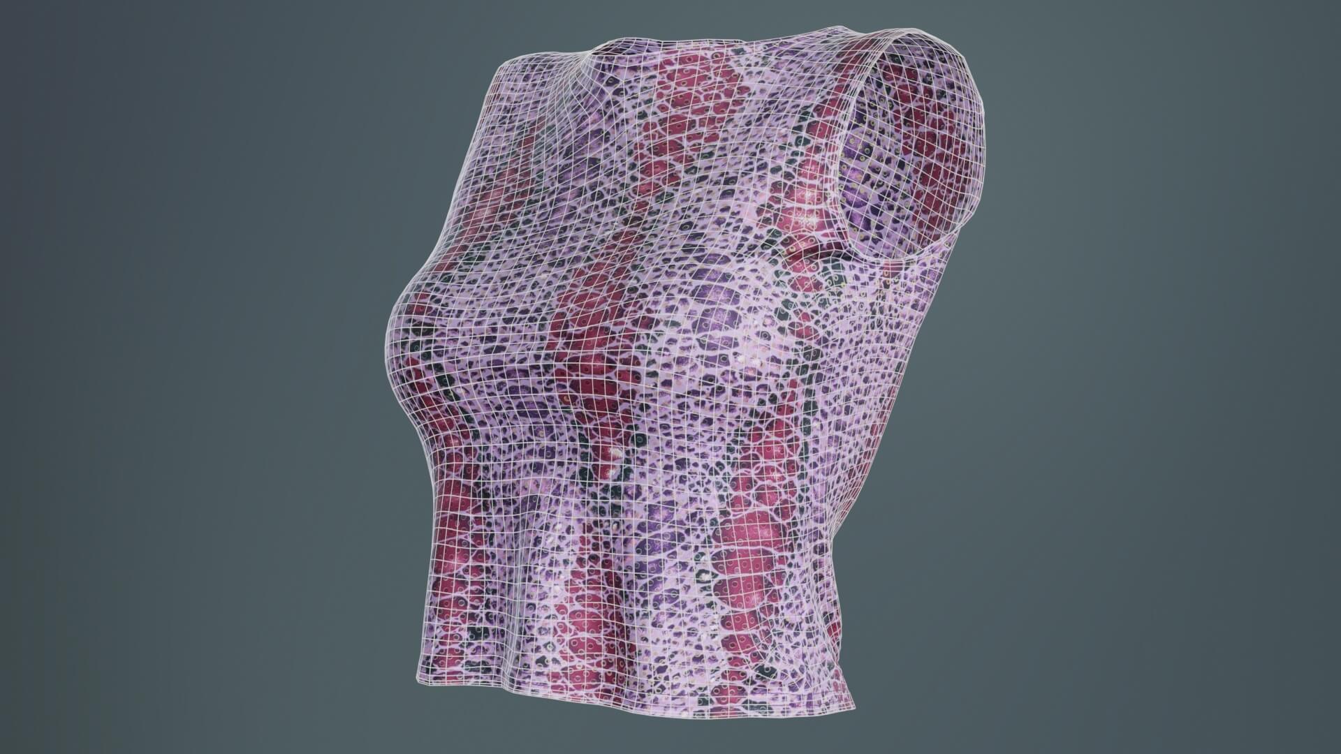 Purple Snake Top - 3D Model by Polygonal Miniatures