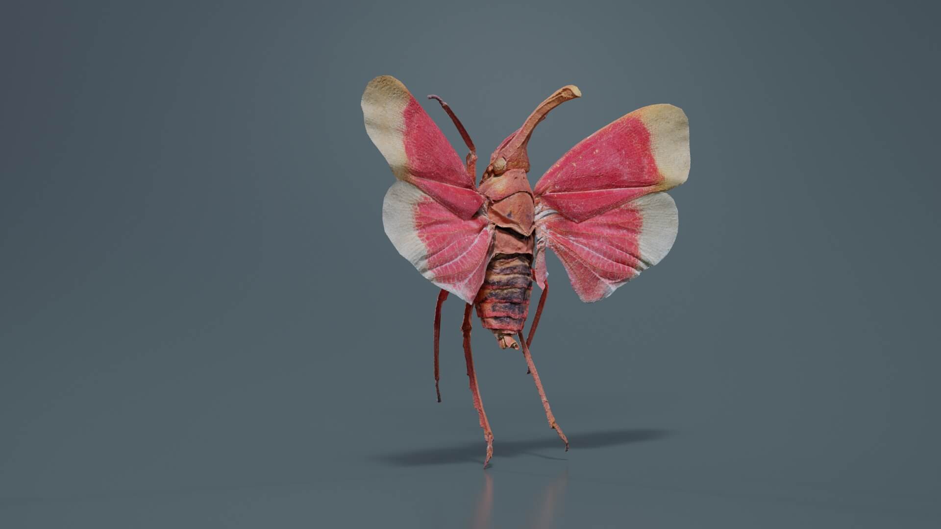 Pyrops Hamdjahi Peleng - 3D Model by Polygonal Miniatures