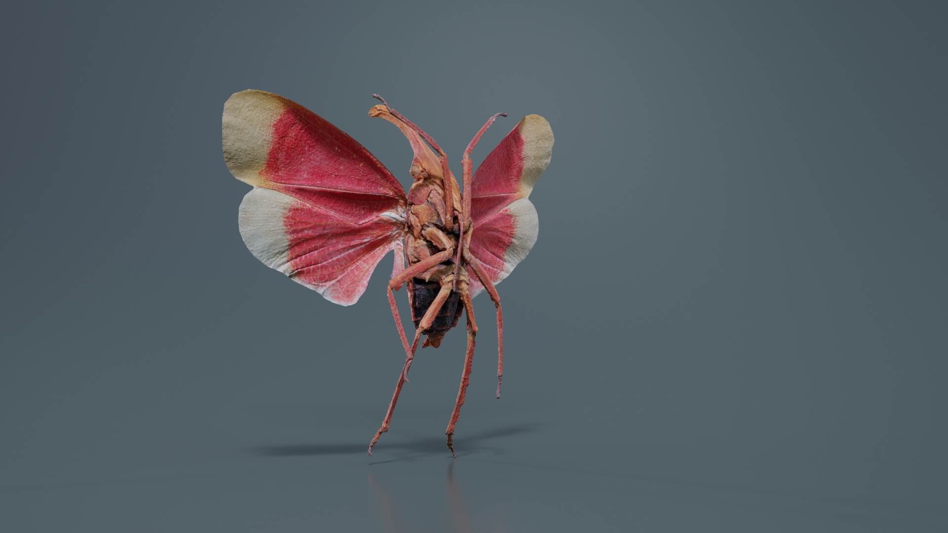 Pyrops Hamdjahi Peleng - 3D Model by Polygonal Miniatures