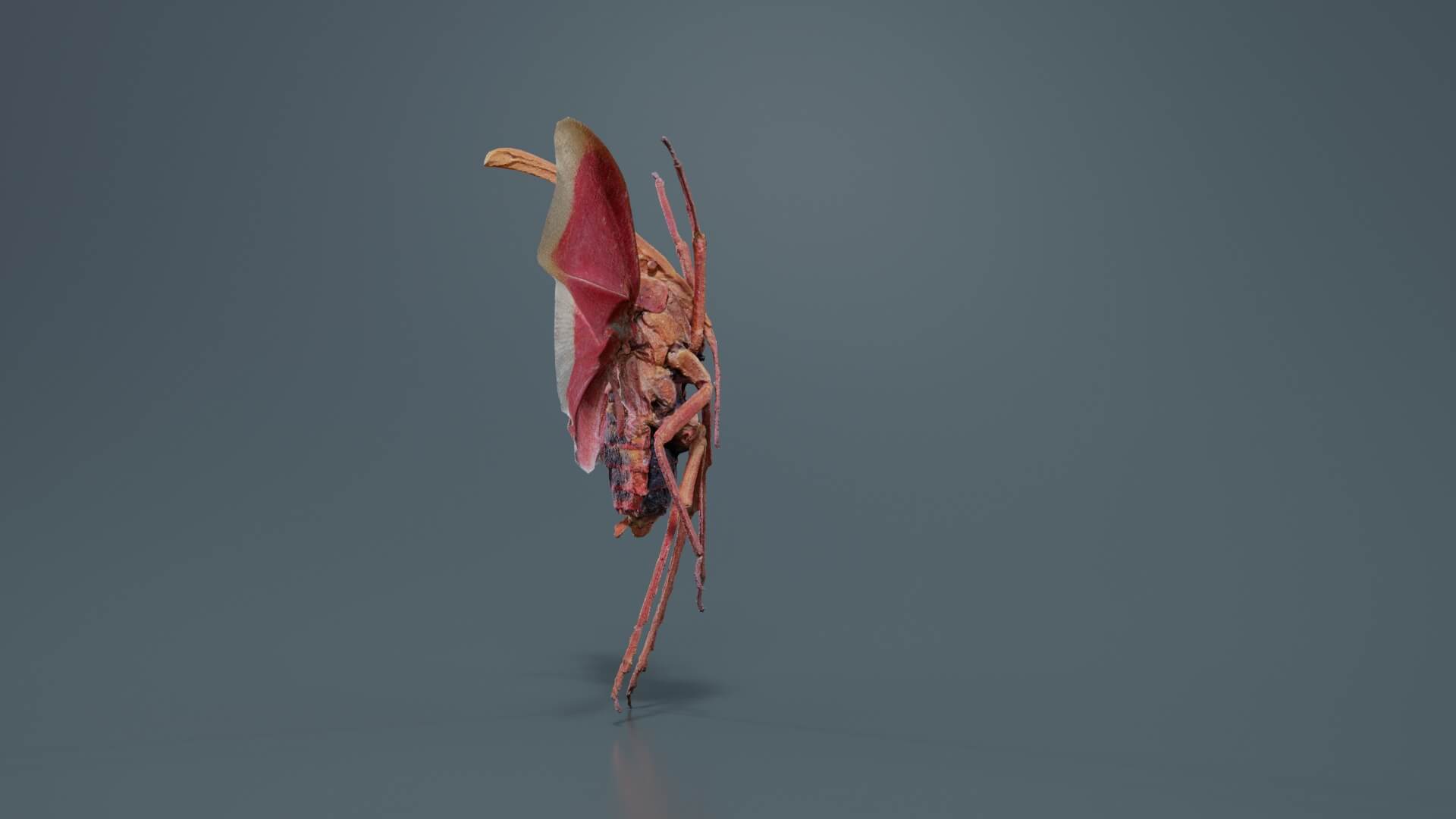 Pyrops Hamdjahi Peleng - 3D Model by Polygonal Miniatures