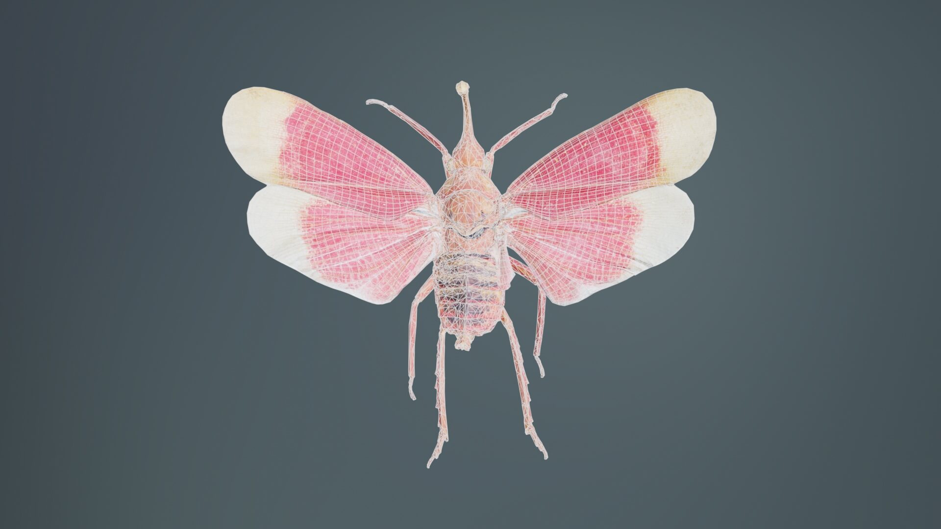 Pyrops Hamdjahi Peleng - 3D Model by Polygonal Miniatures