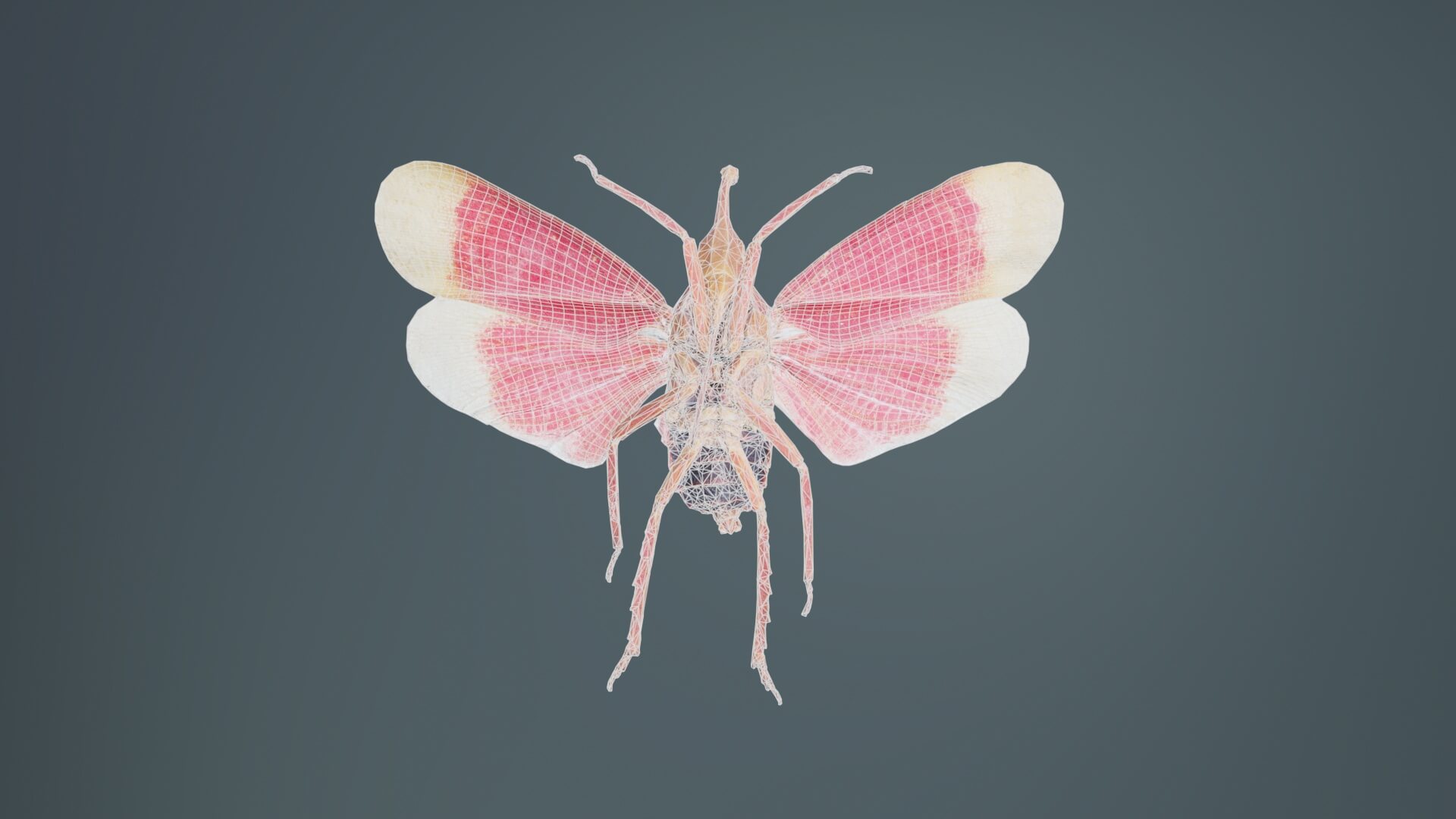 Pyrops Hamdjahi Peleng - 3D Model by Polygonal Miniatures