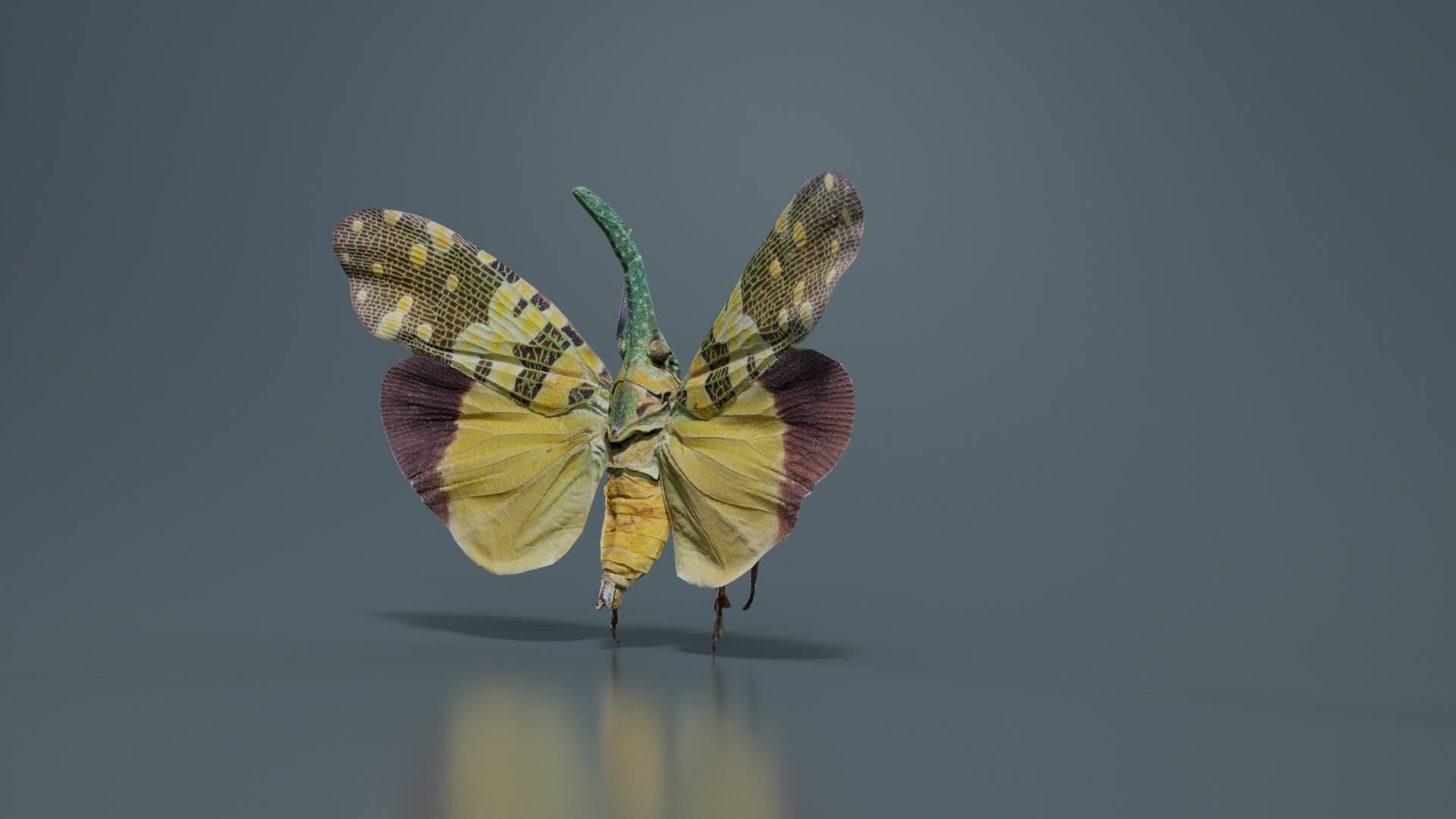 Pyrops Spinolae Cambodia - 3D Model by Polygonal Miniatures